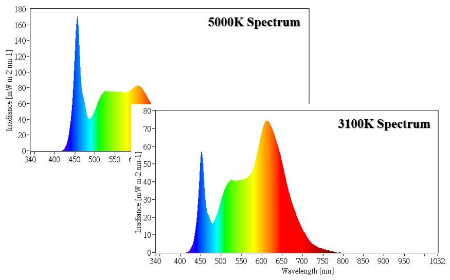 Light Source Technology for CIS – SungHan Co.,LTD
